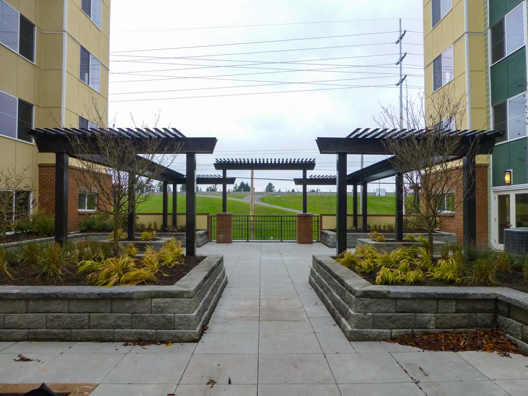 Trellis & Enclosure 101: The Secret Sauce to a Stunning Outdoor Space ...